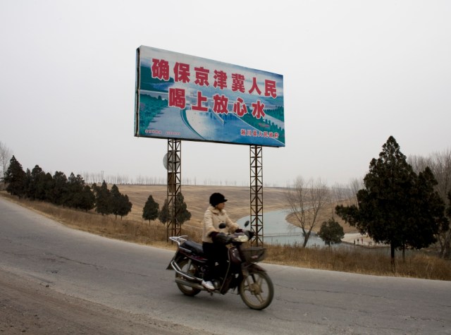 China is so bad at conservation that it had to launch the most ...